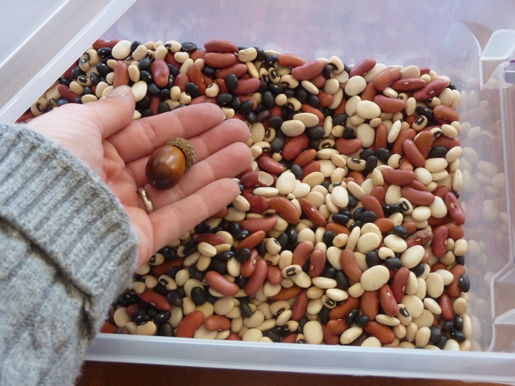 Bean Bin | My Obstacle Course: Engage, Encourage and Empower