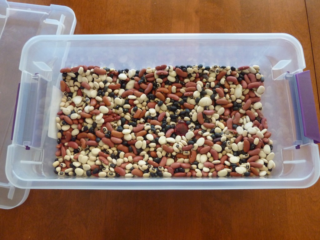 Bean Bin | My Obstacle Course: Engage, Encourage and Empower